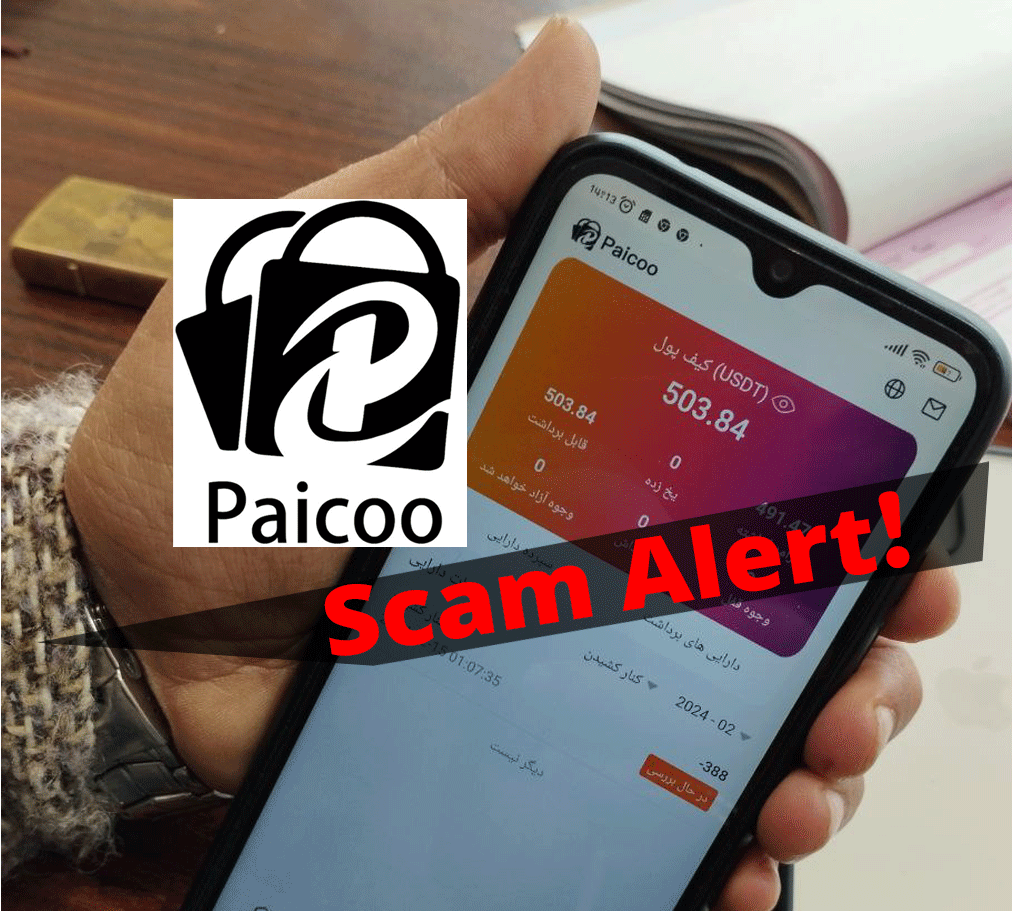 پایکو Paicoo کلاهبرداری پانزی | وب آموز